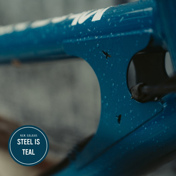 Starling Cycles Beady Little Eye Frame - Starling Cycles