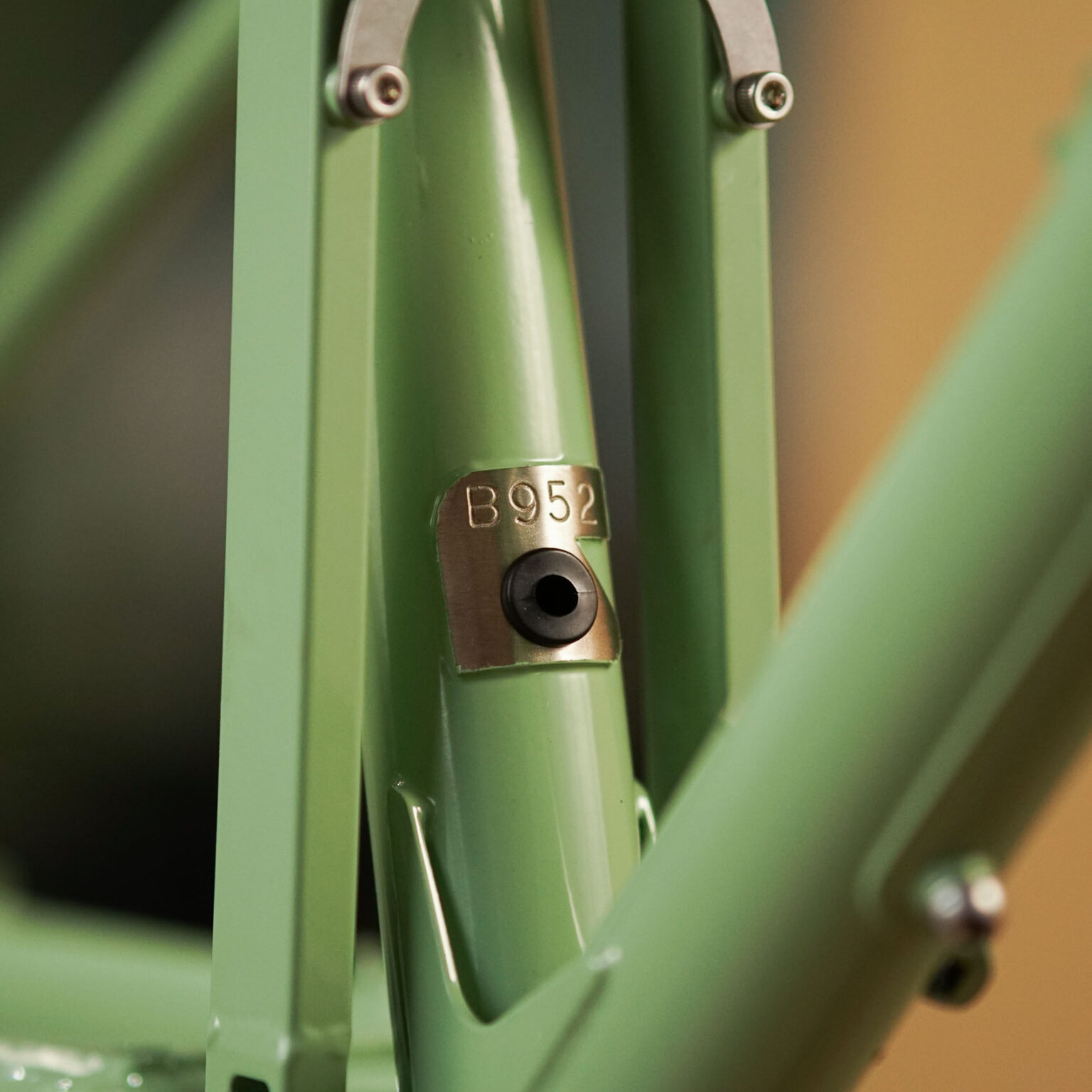 Starling Cycles Beady Little Eye Frame - Starling Cycles